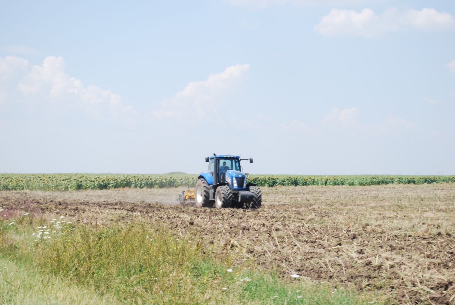 Proiect de hotărâre: cuantumul subvenţiilor pe care le vor primi fermierii, în acest an | Gazeta ...